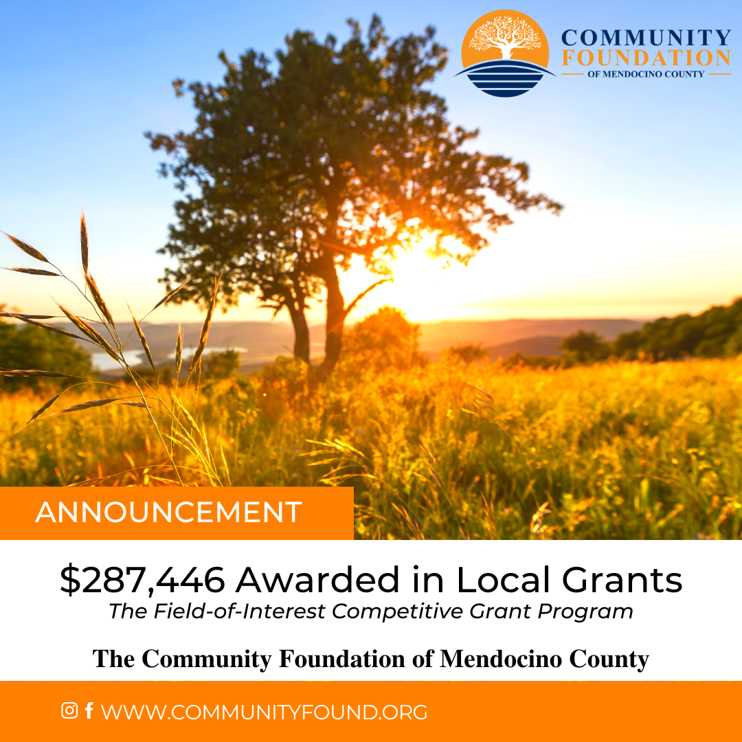 The Community Foundation Awards $287,446 in Local Grants - Community ...
